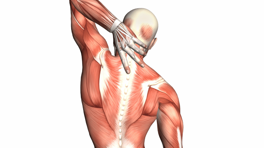 Upper Back Pain While Deadlifting (5 Reasons and How To Fix)