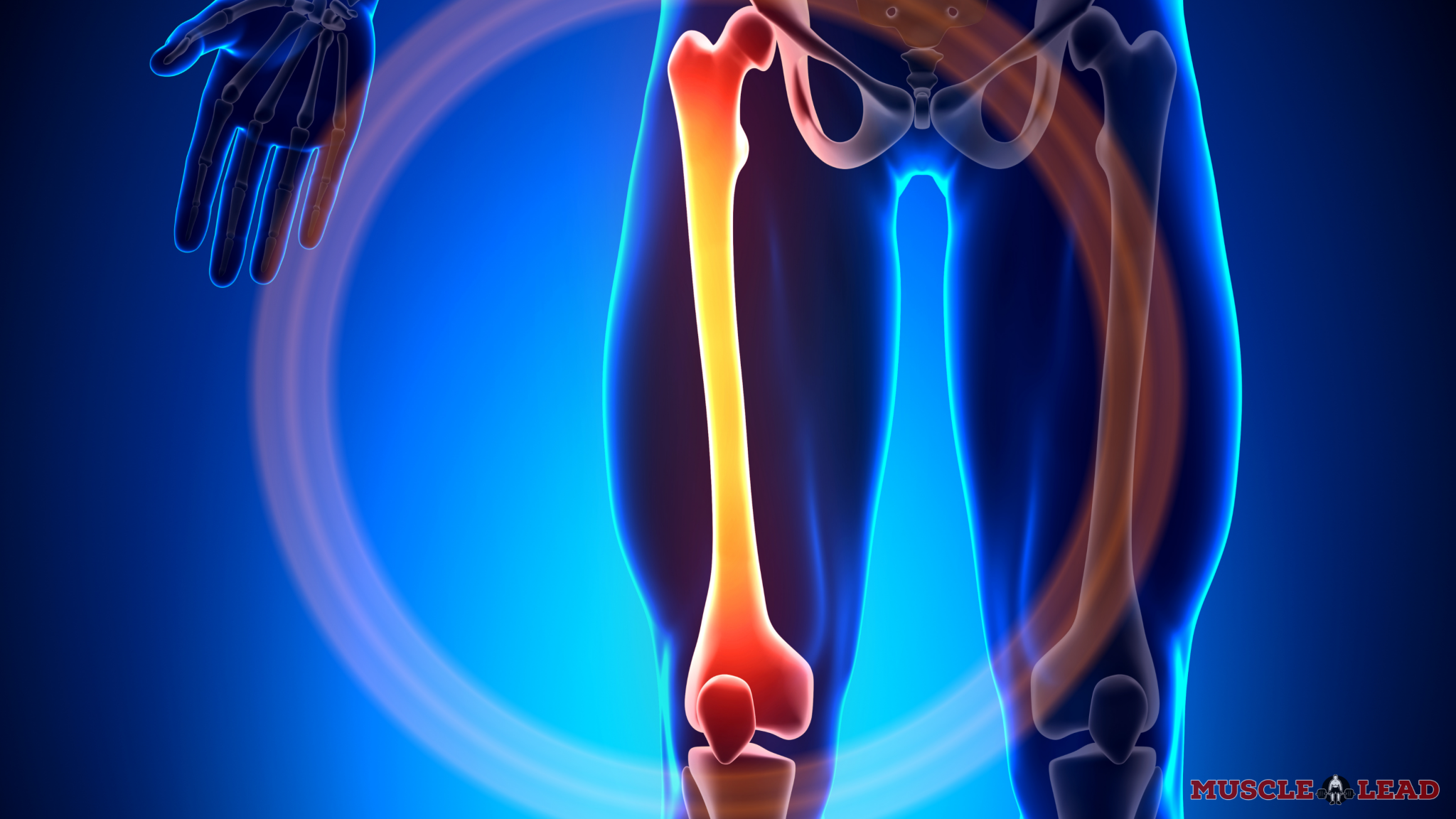 Squatting With Long Legs (12 Tips and How To Guide)